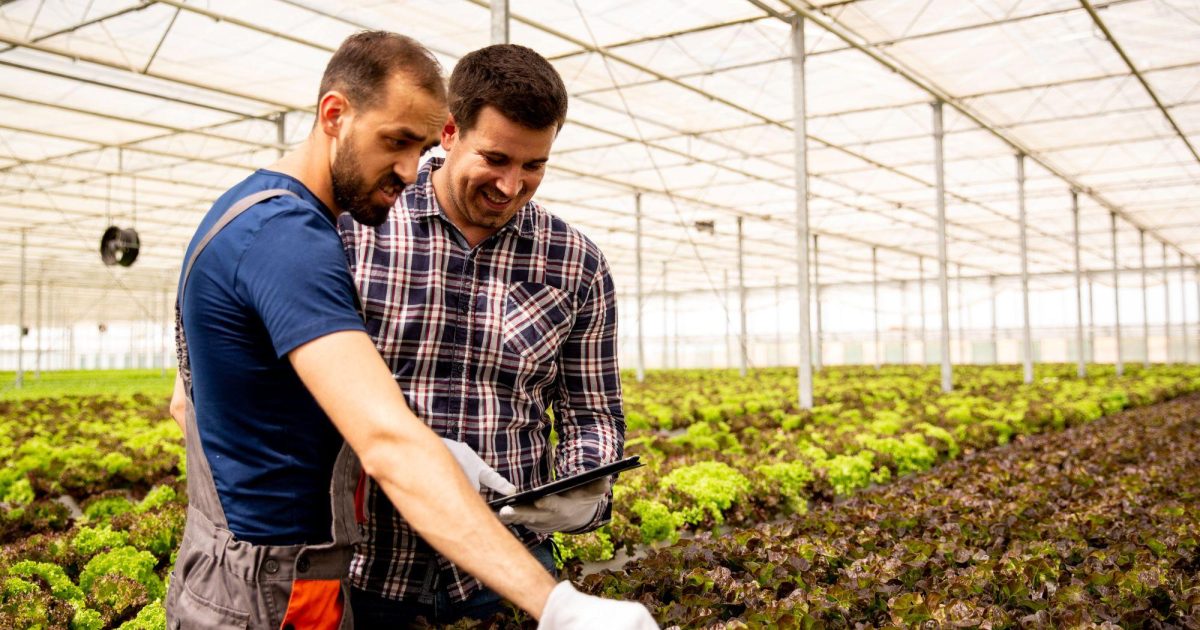 SETU | Try Agriculture - Live Lecture
