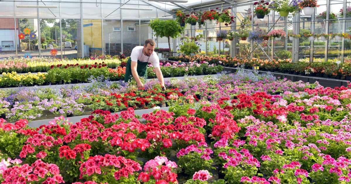 SETU | Try Horticulture at the National Botanic Gardens