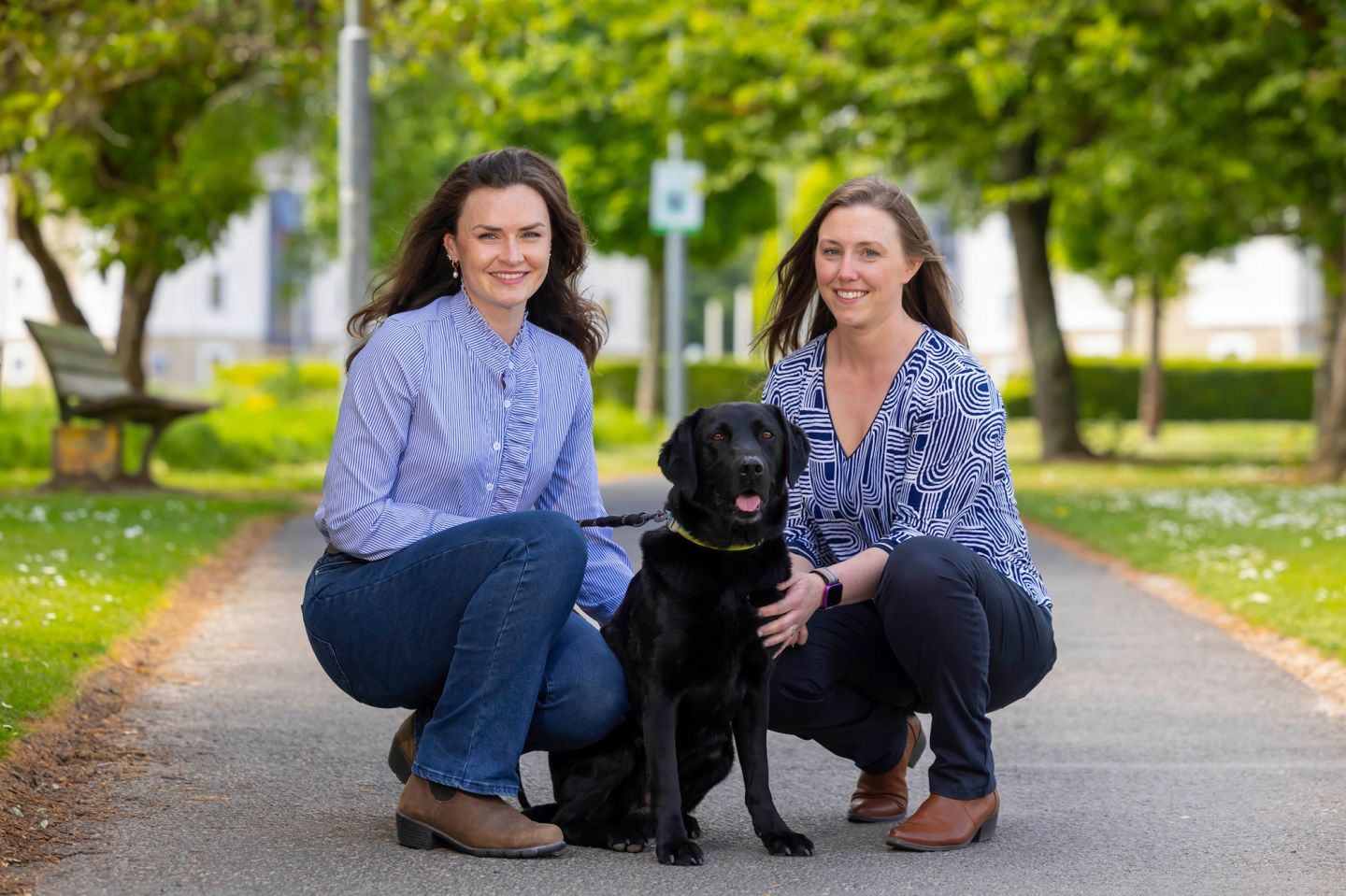 SETU | MVB in Veterinary Medicine